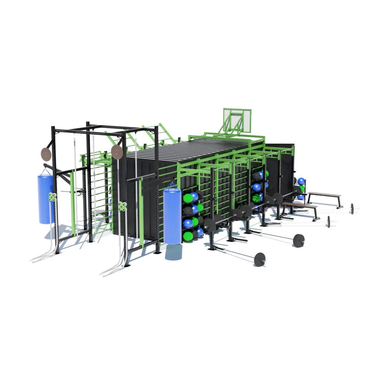 Cage CrossFit Container : Mobilité et Polyvalence